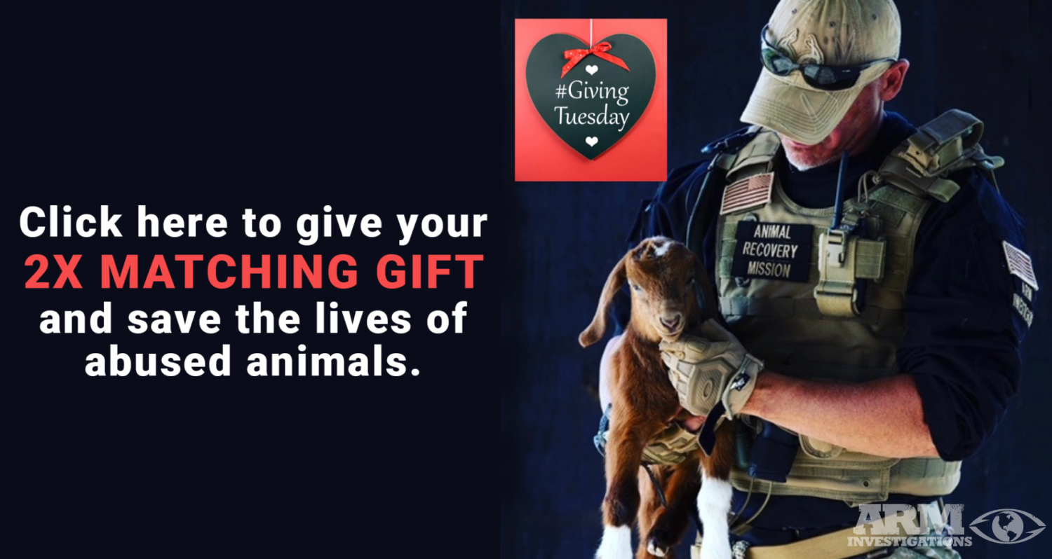 Animal Recovery Mission | Animal Rights Organization